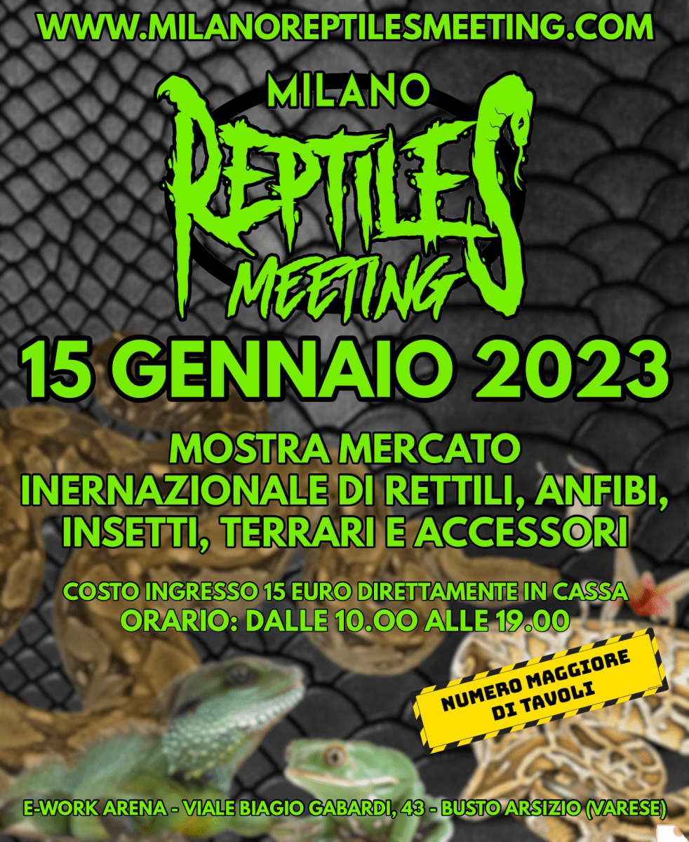 MILANO REPTILES MEETING – 1 FEBBRAIO 2026 – MOSTRA-SCAMBIO ...