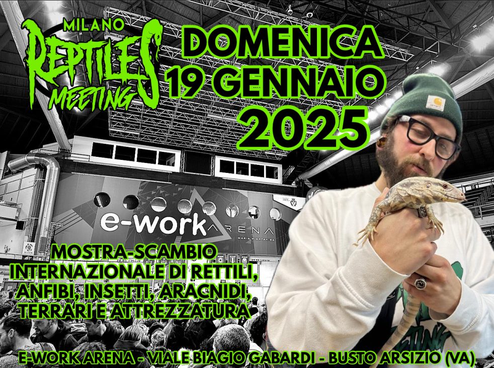 MILANO REPTILES MEETING – 19 GENNAIO 2025 – mostra/scambio ...